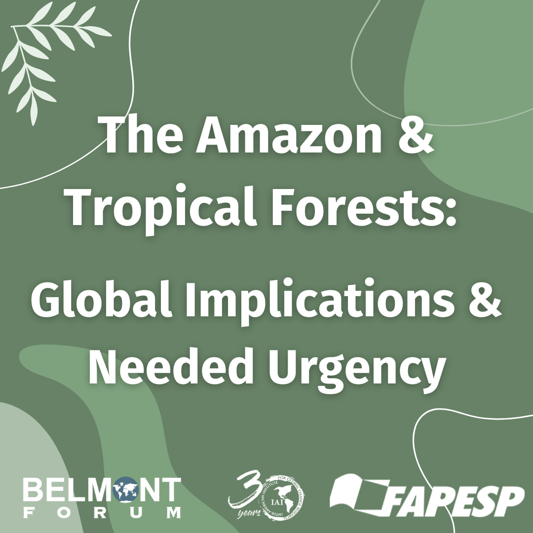 The Amazon and tropical forests: its global implications and needed ...